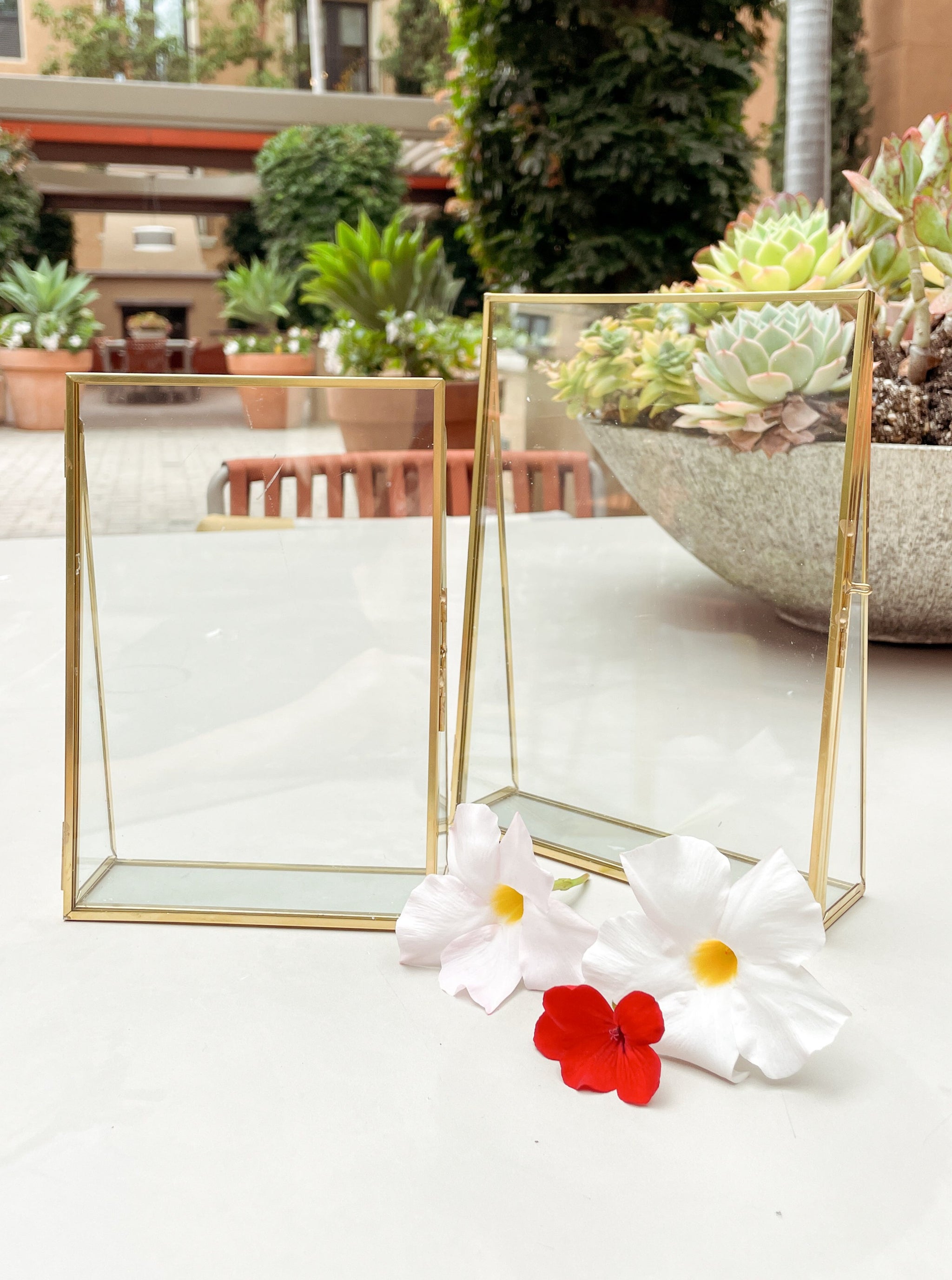 Gold-Edged Display Floating Picture Frames – Ausique Decor