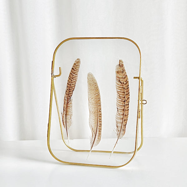 Arched Round Corner Gold Floating Picture Frames – Ausique Decor