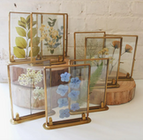 Feather Display Floating Picture Frames: Chic & Organic Elegance for ...