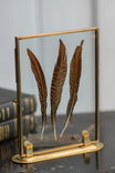 Feather Display Floating Picture Frames: Chic & Organic Elegance for ...