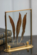 Feather Display Floating Picture Frames: Chic & Organic Elegance for ...