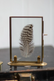 Feather Display Floating Picture Frames: Chic & Organic Elegance for ...