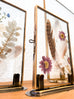 Feather Display Floating Picture Frames: Chic & Organic Elegance for ...