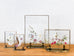 Feather Display Floating Picture Frames: Chic & Organic Elegance for ...